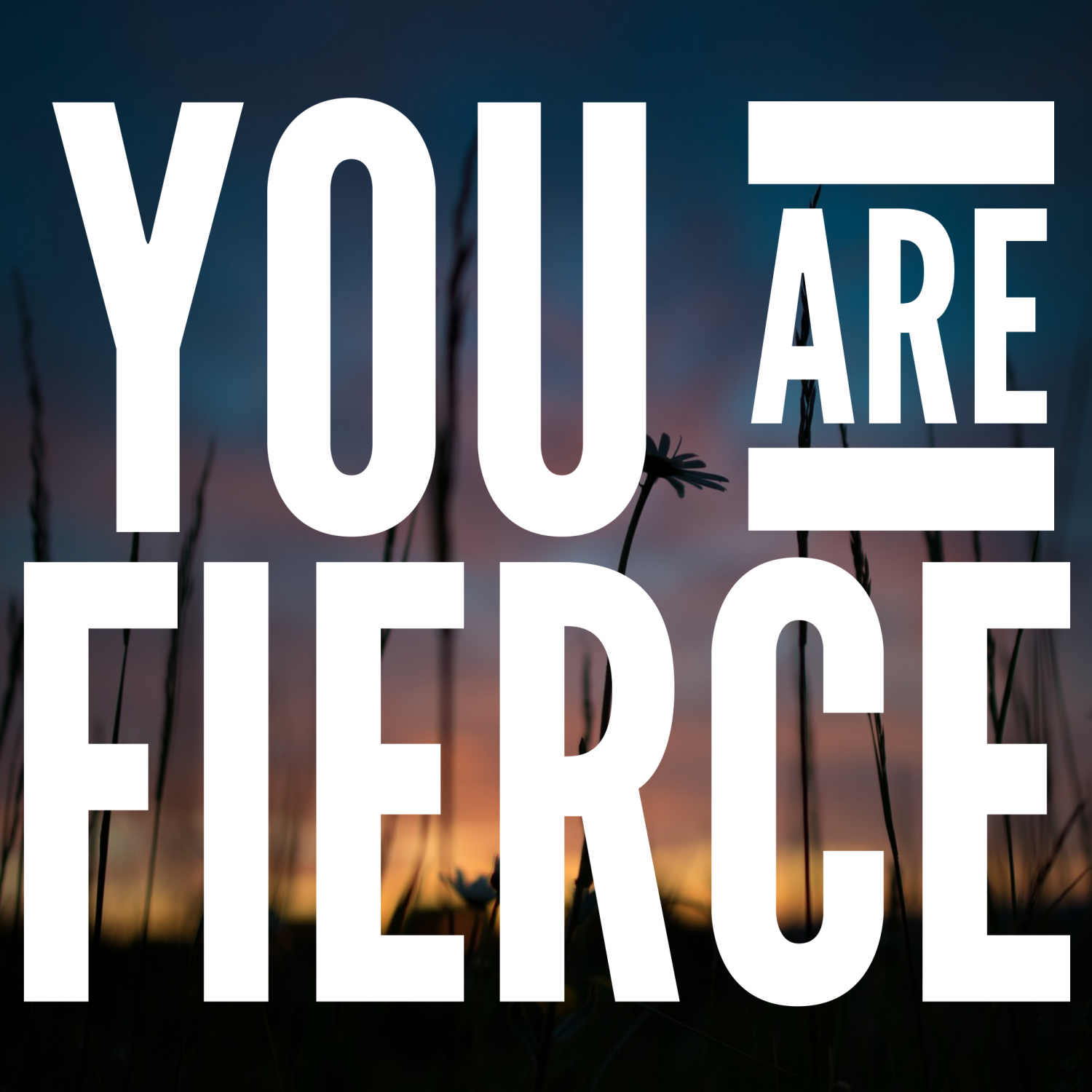 You are fierce. Own it and be brave. – Women's Strength Nation